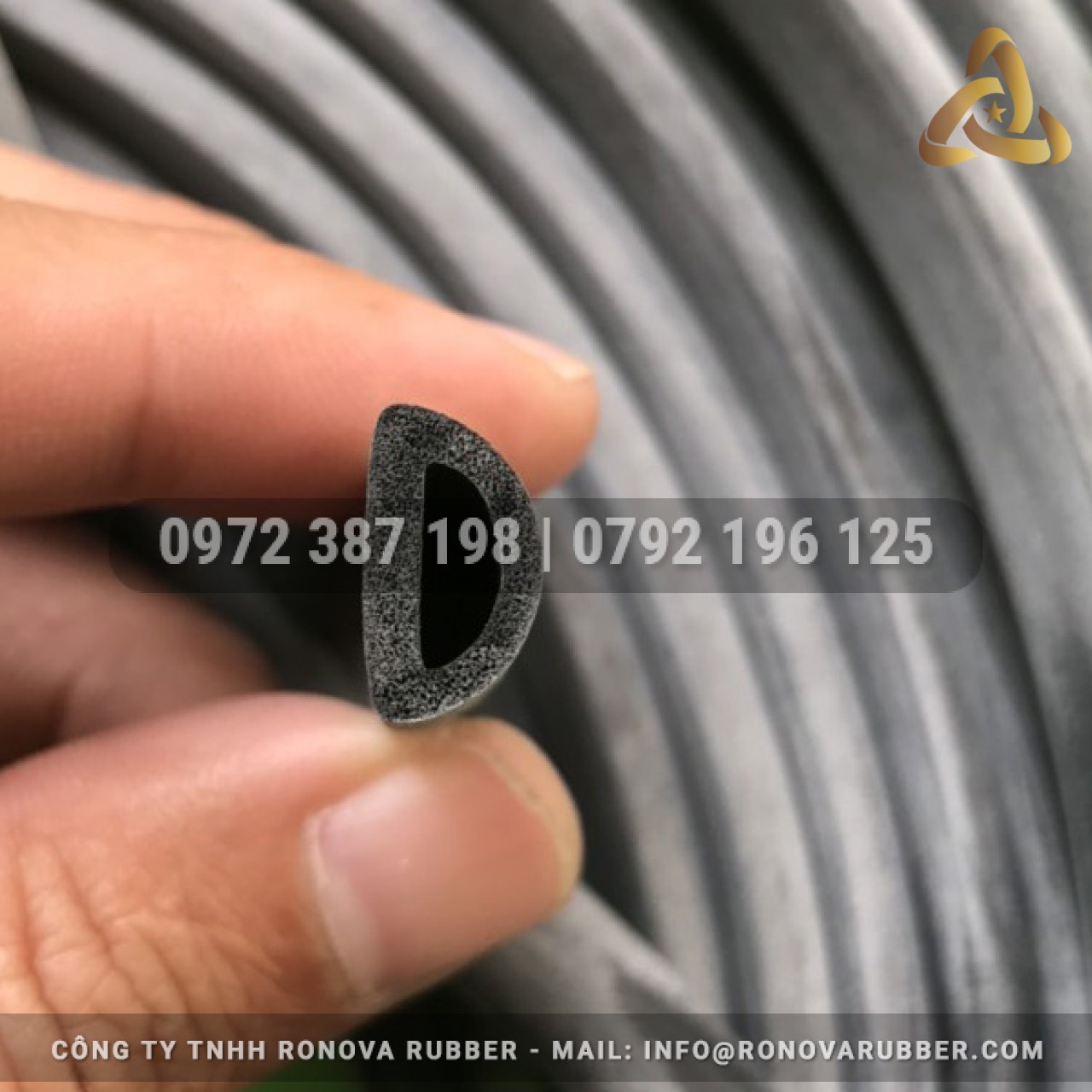 Ron Cao Su Xốp EPDM Chữ D 12x6x2 | Ronova Rubber