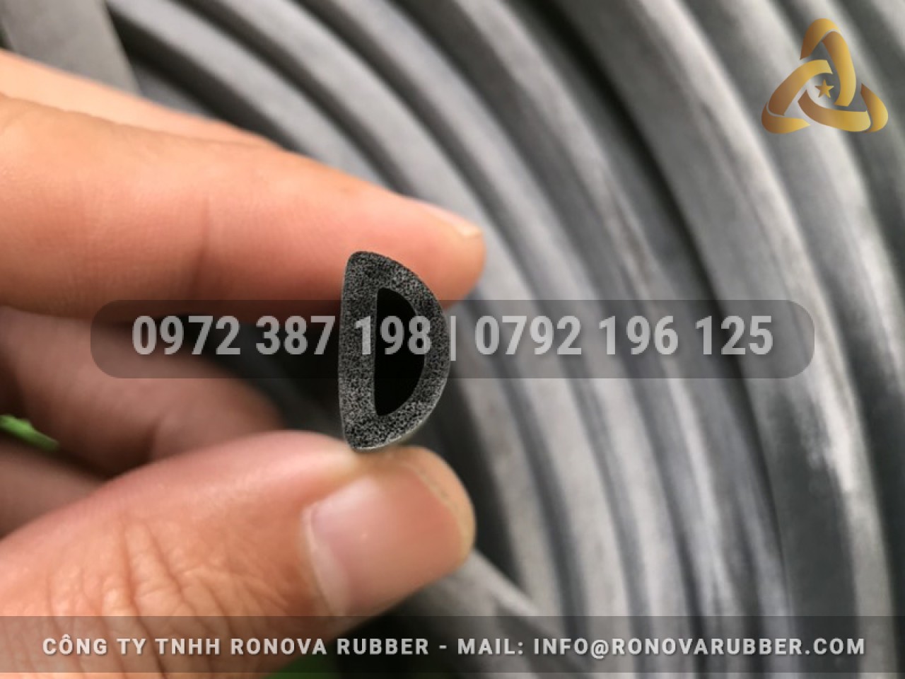 Ron Cao Su Xốp EPDM Chữ D 12x6x2 | Ronova Rubber